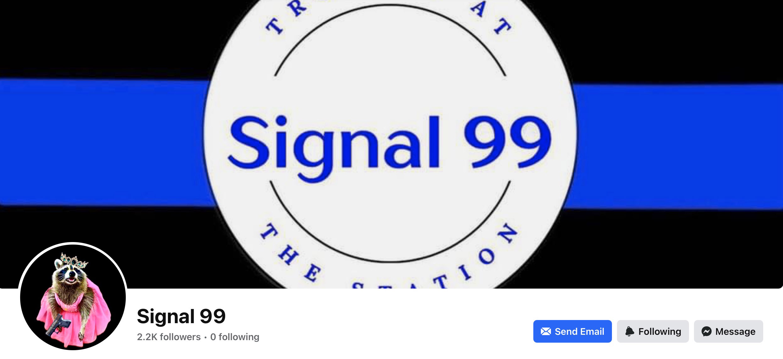 Signal 99: The Underground Police Network that Punches Back | Beechmont ...